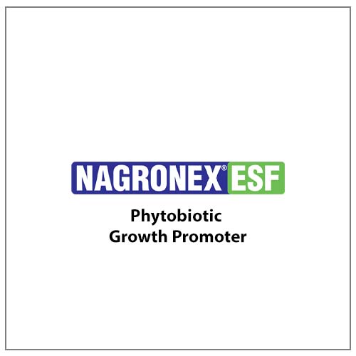 Provet Pharma - Solution provider of animal healthcare