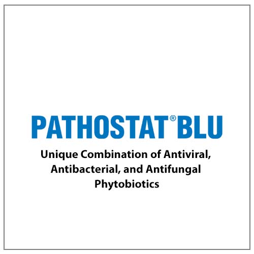 Provet Pharma - Solution provider of animal healthcare