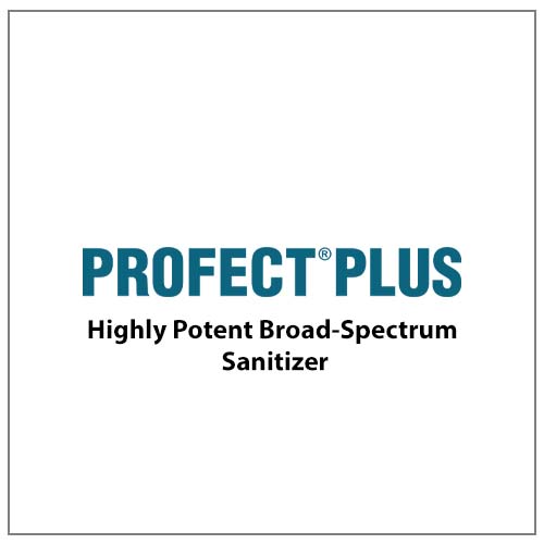 Profect-Plus - Provet