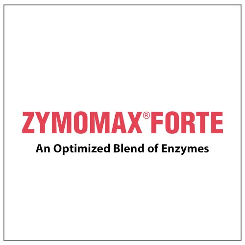 ZYMOMAX FORTE - Provet